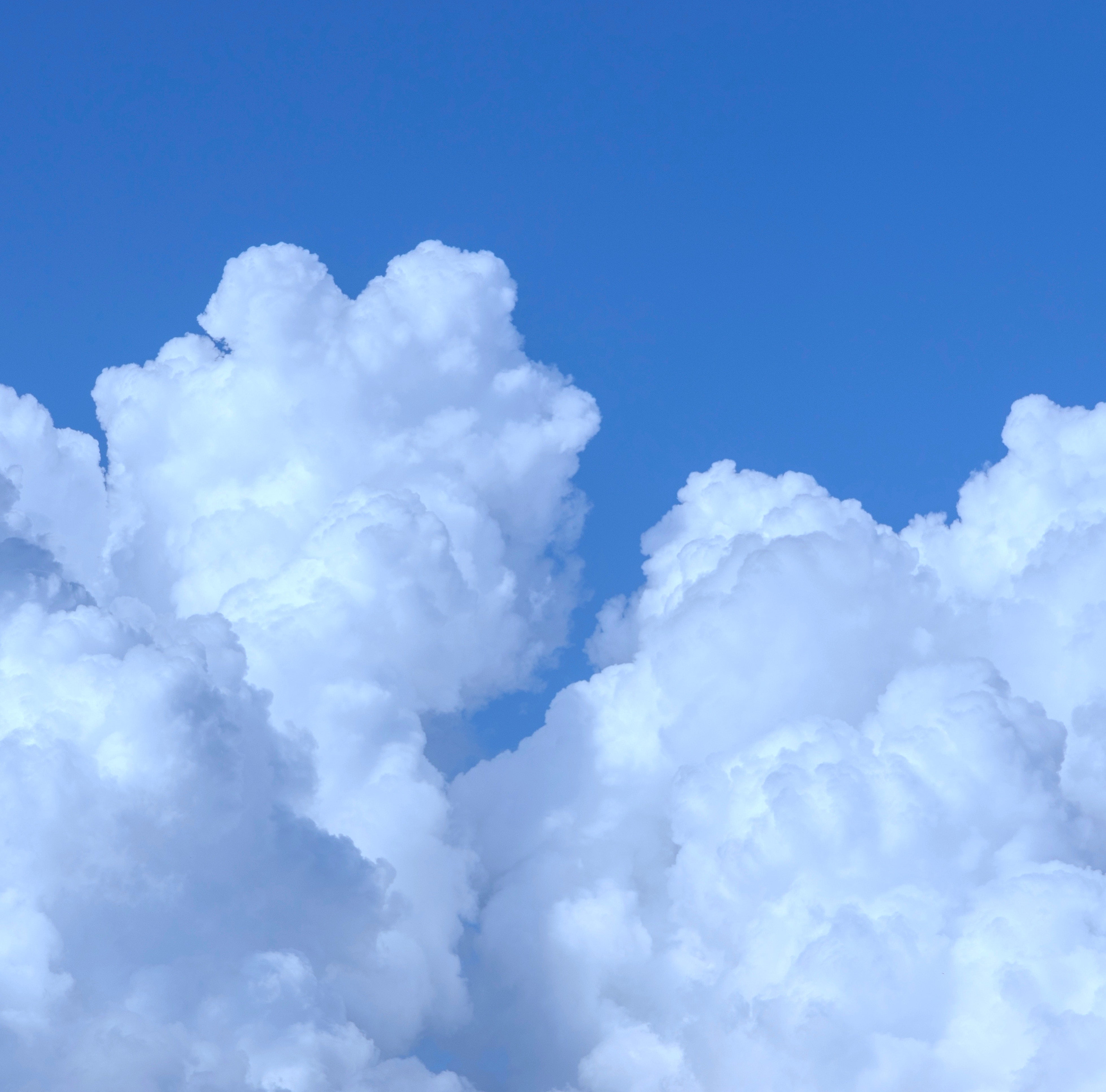 Of Aspen - Stationery and lifestyle products. – Page 4 – Of Aspen ...