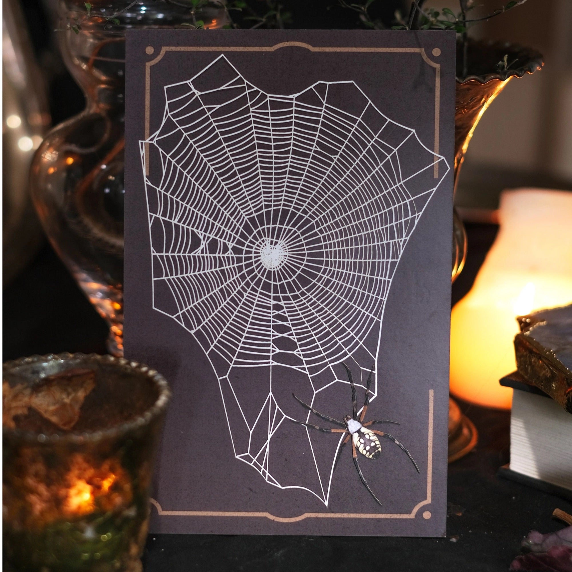 Halloween Weaver Spider and Web Set – Of Aspen Curated Gifts