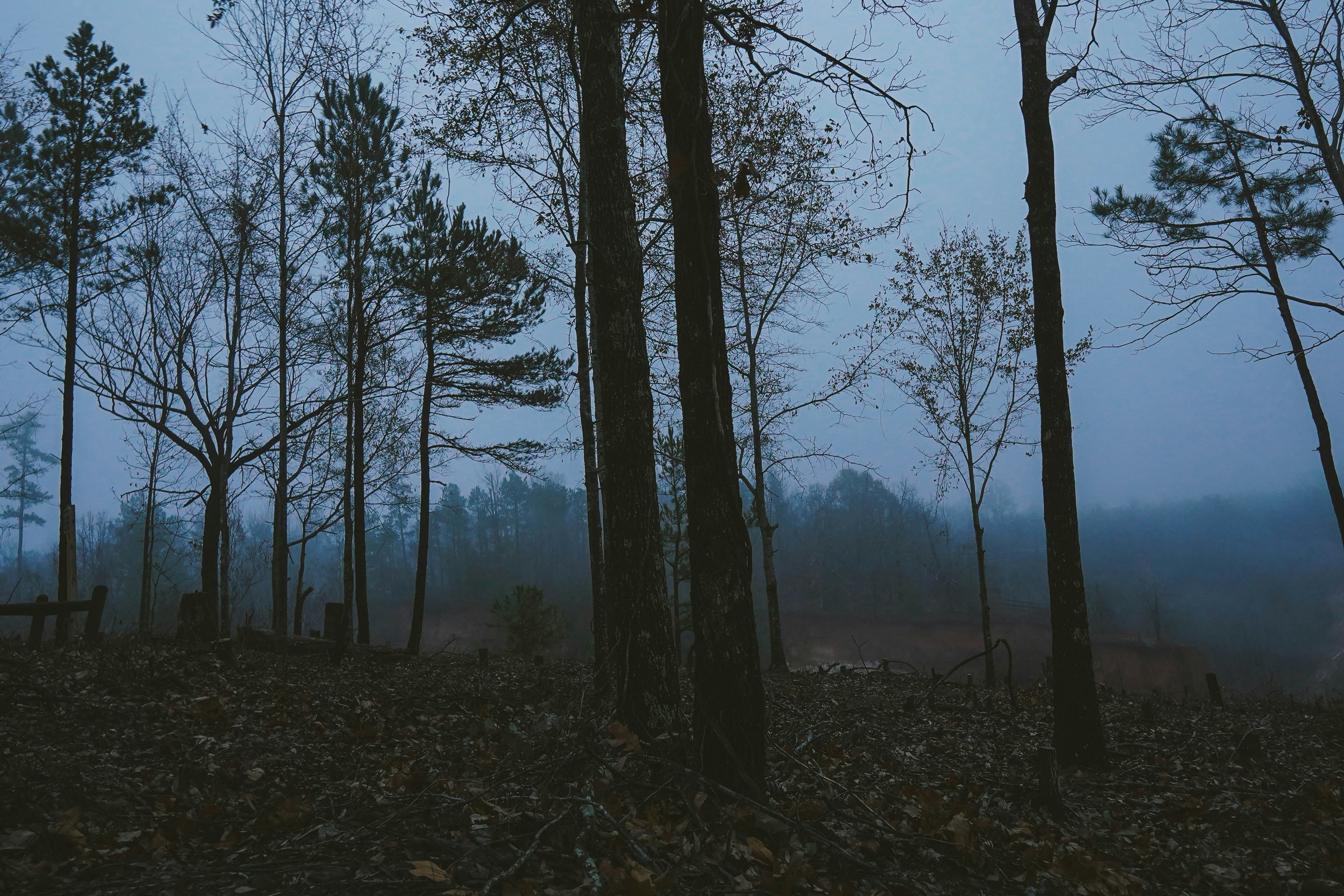 Haunted Hallows Drop (Part 2 - New Drop Items) – Of Aspen Curated Gifts