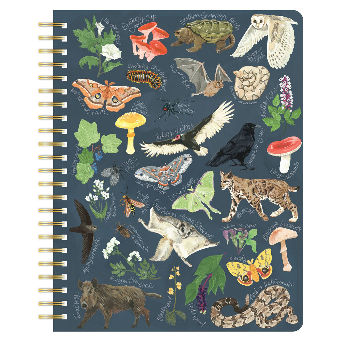 Midnight Flora & Fauna Spiral Lined Notebook – Of Aspen Curated Gifts