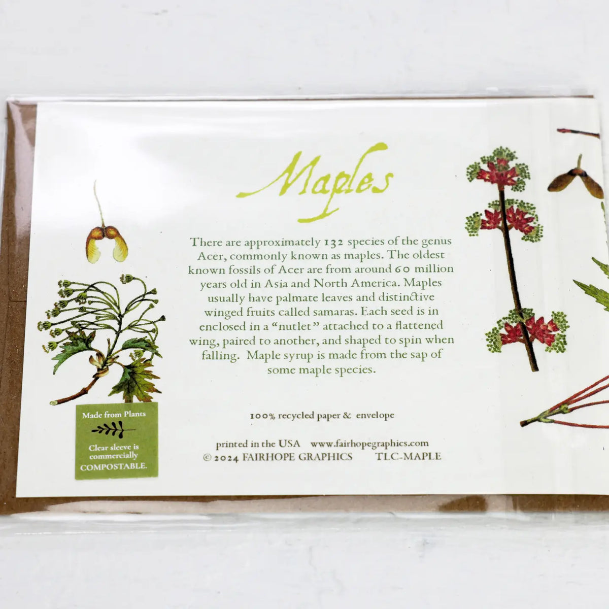 Maple Tree History Card – Of Aspen Curated Gifts