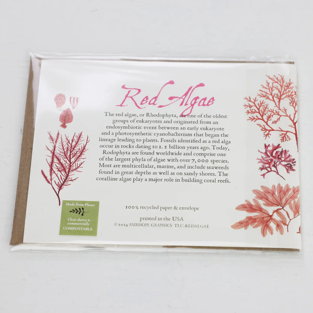 Red Algae History Card – Of Aspen Curated Gifts