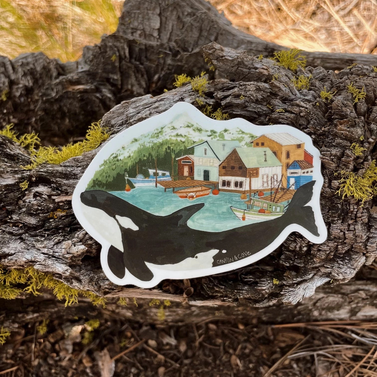 Harbor Orca Sticker – Of Aspen Curated Gifts