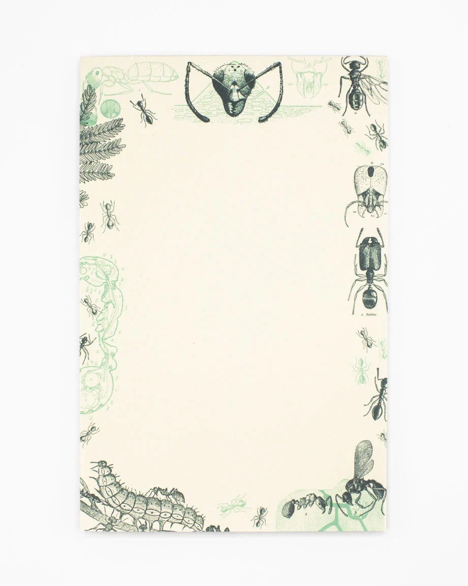 Ants Notepad – Of Aspen Curated Gifts
