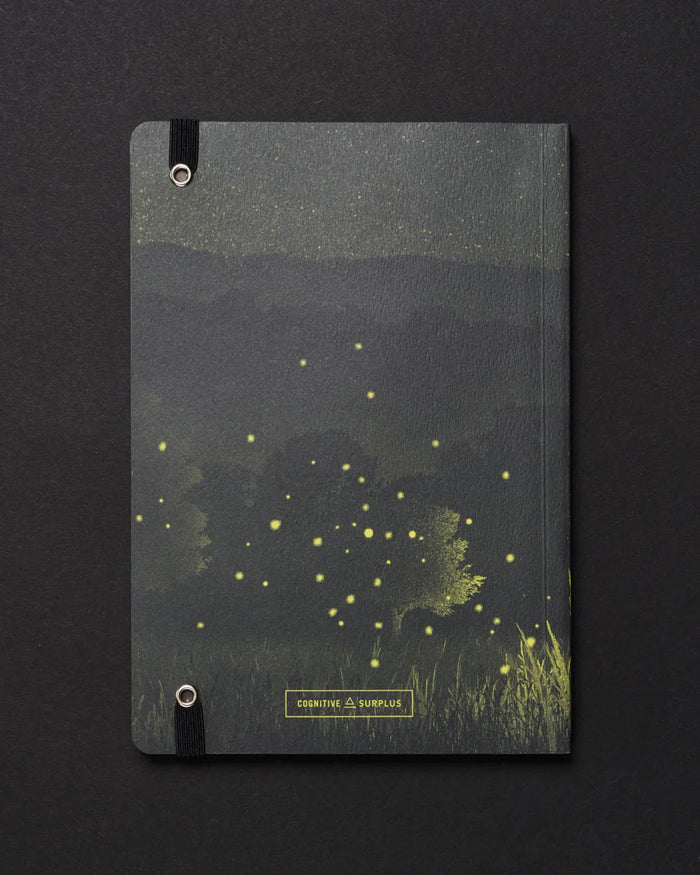 Firefly Meadow Dark Matter Analysis Notebook – Of Aspen Curated Gifts