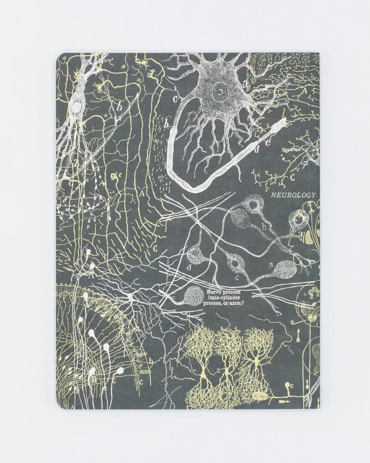 Neurons Notebook – Of Aspen Curated Gifts