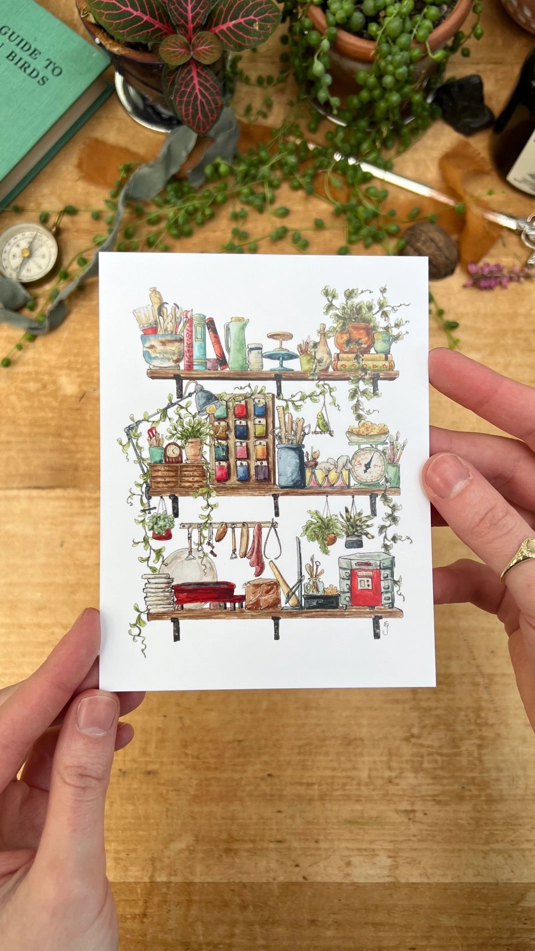 The Potter's Shelves Postcard – Of Aspen Curated Gifts