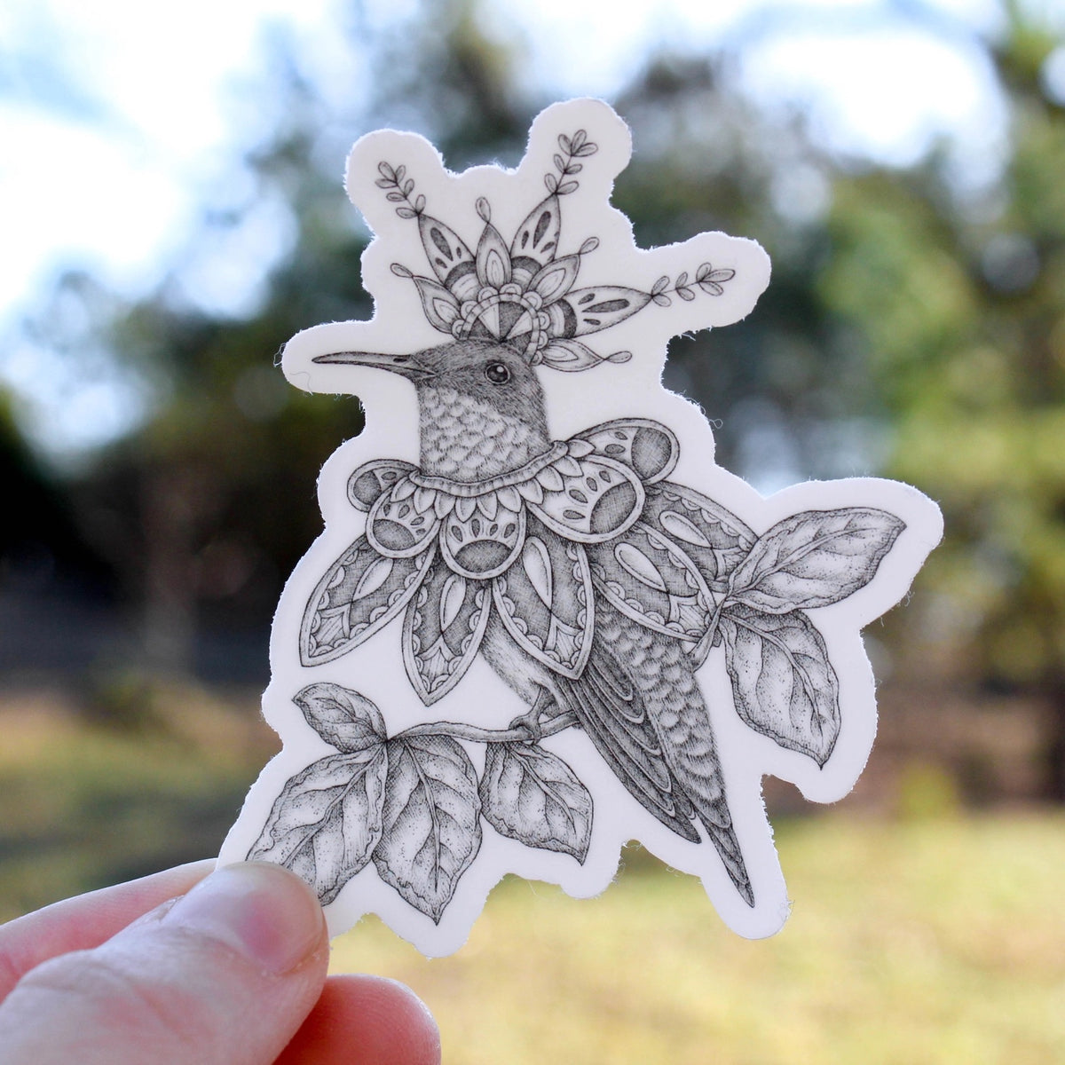 Duke of Radiance Hummingbird Sticker – Of Aspen Curated Gifts