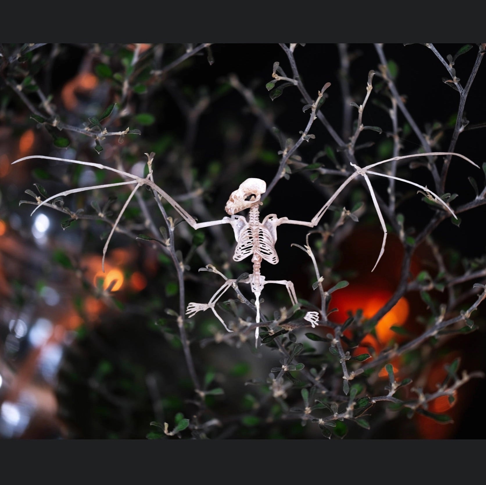 Halloween Bat and Bat Skeleton Set – Of Aspen Curated Gifts