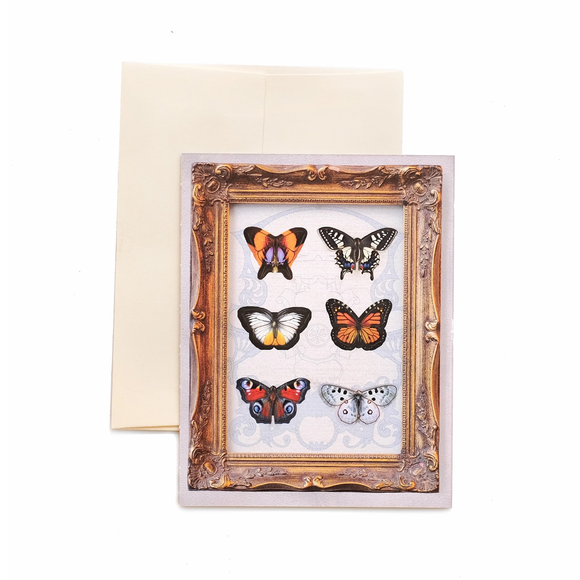 Spellbound Mini Butterfly Pop-Out Greeting Card – Of Aspen Curated Gifts