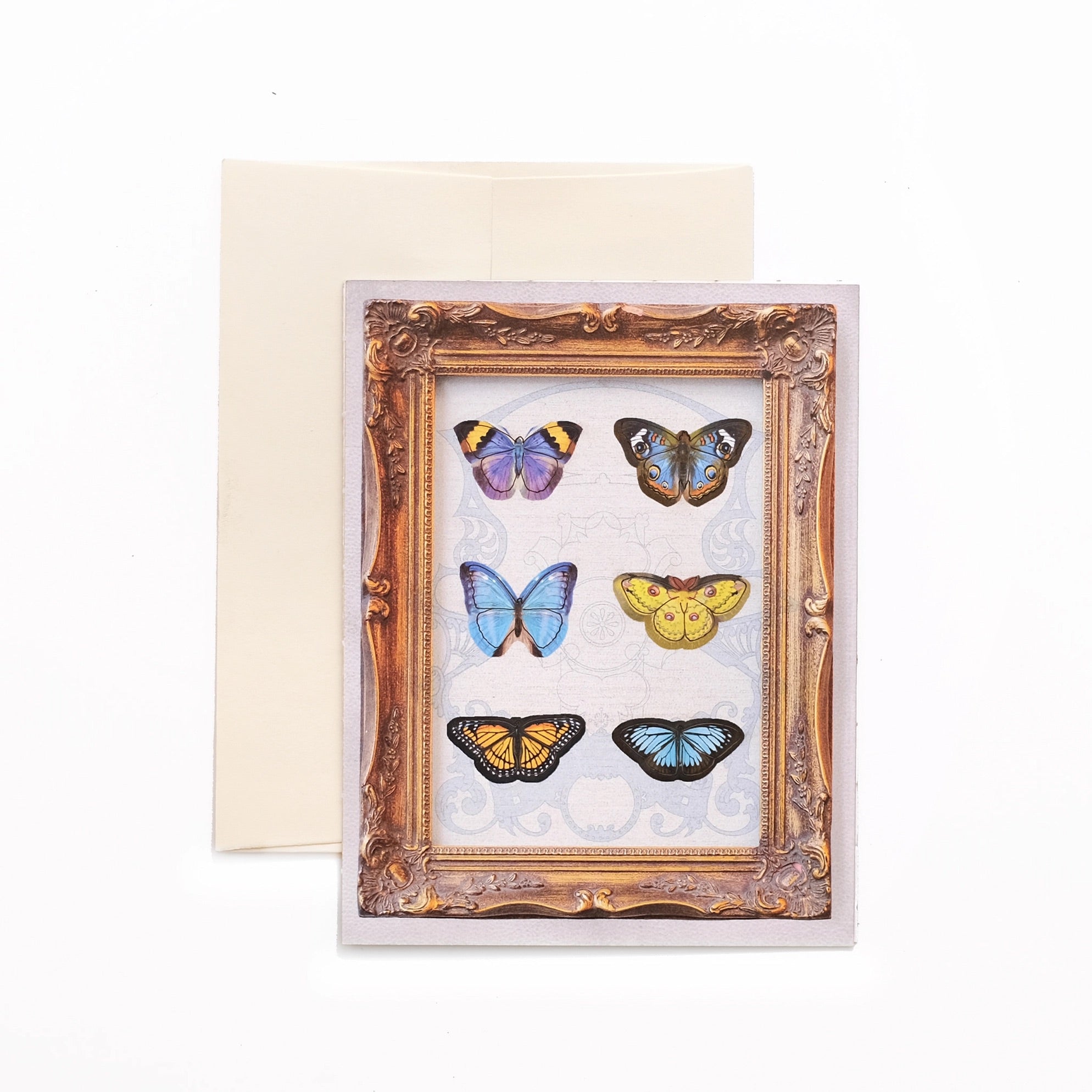 Sunny Mini Butterfly Pop-Out Greeting Card – Of Aspen Curated Gifts