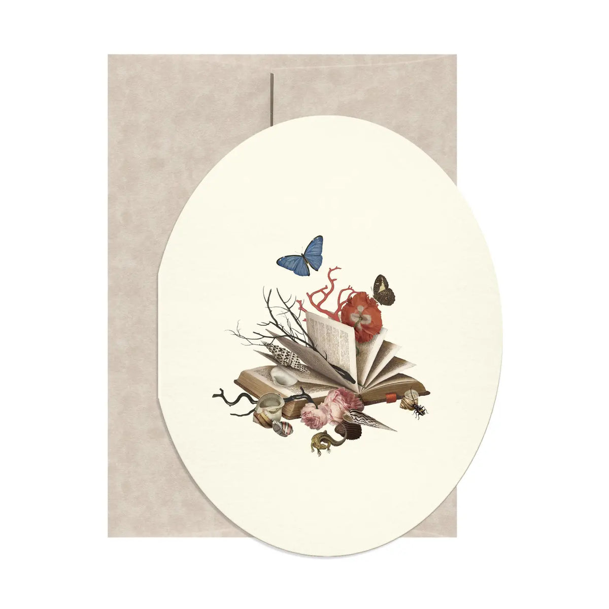 Sea Tales Book Card – Of Aspen Curated Gifts
