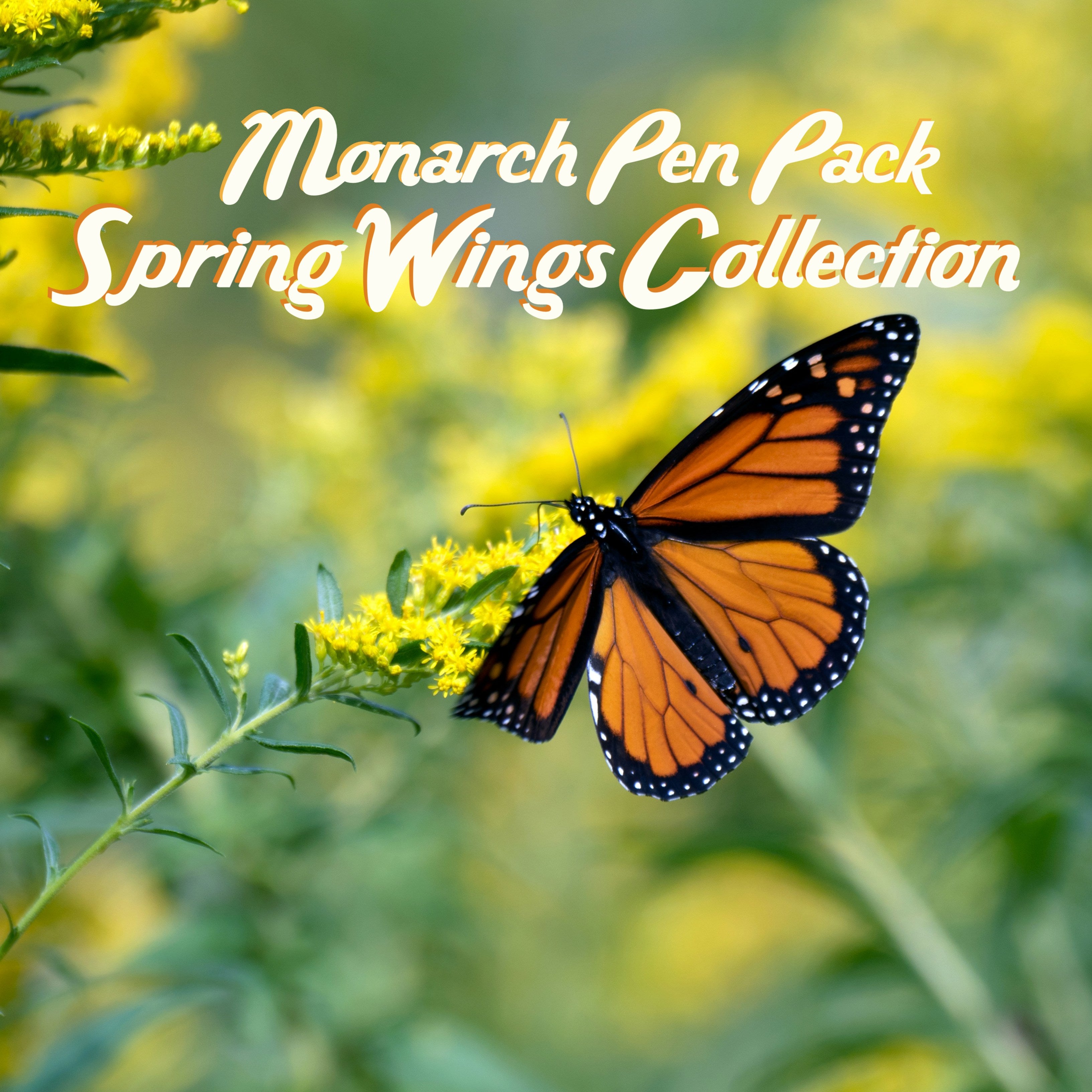Spring Wing Collection - Monarch Pen Pack – Of Aspen Curated Gifts