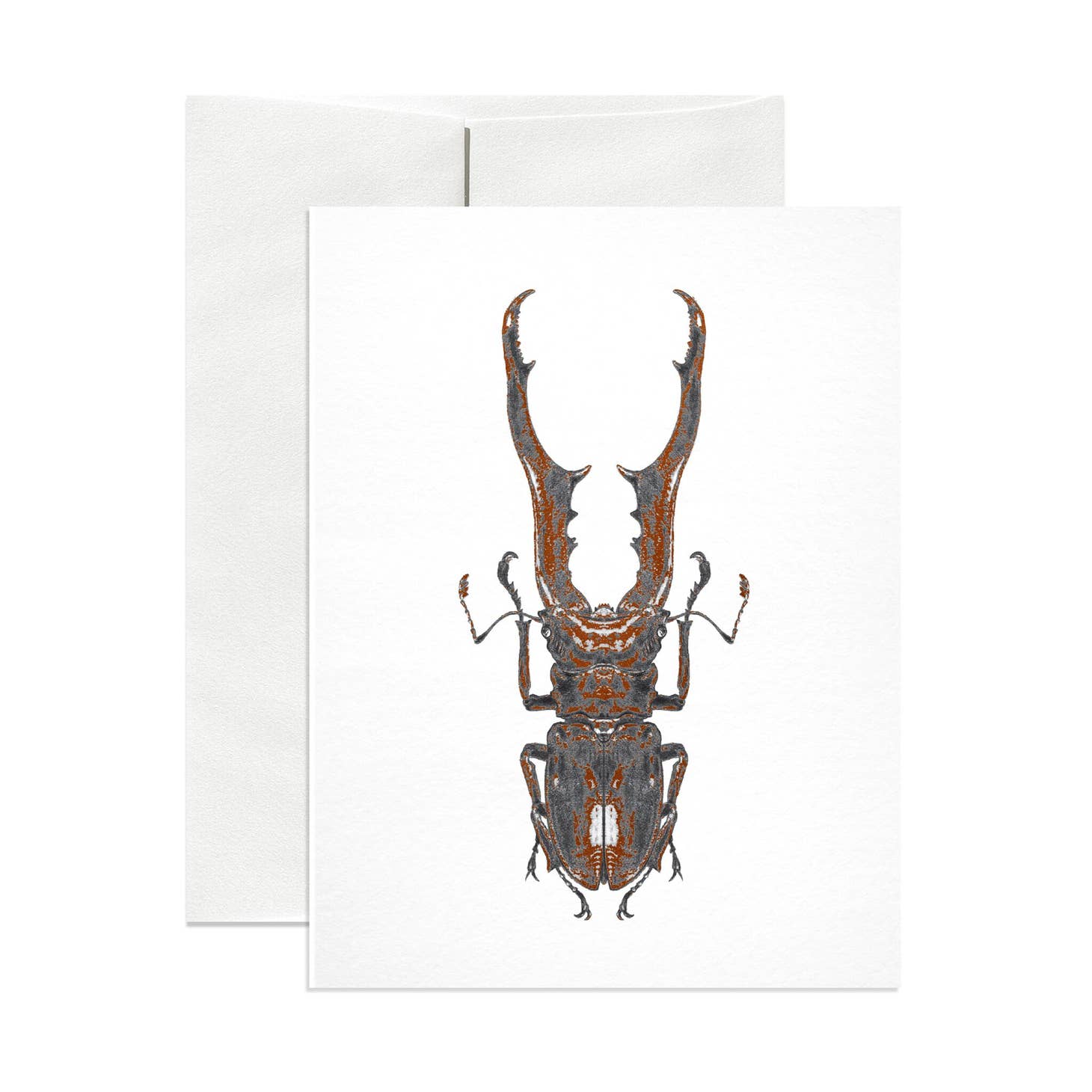 Stag Beetle Card – Of Aspen Curated Gifts