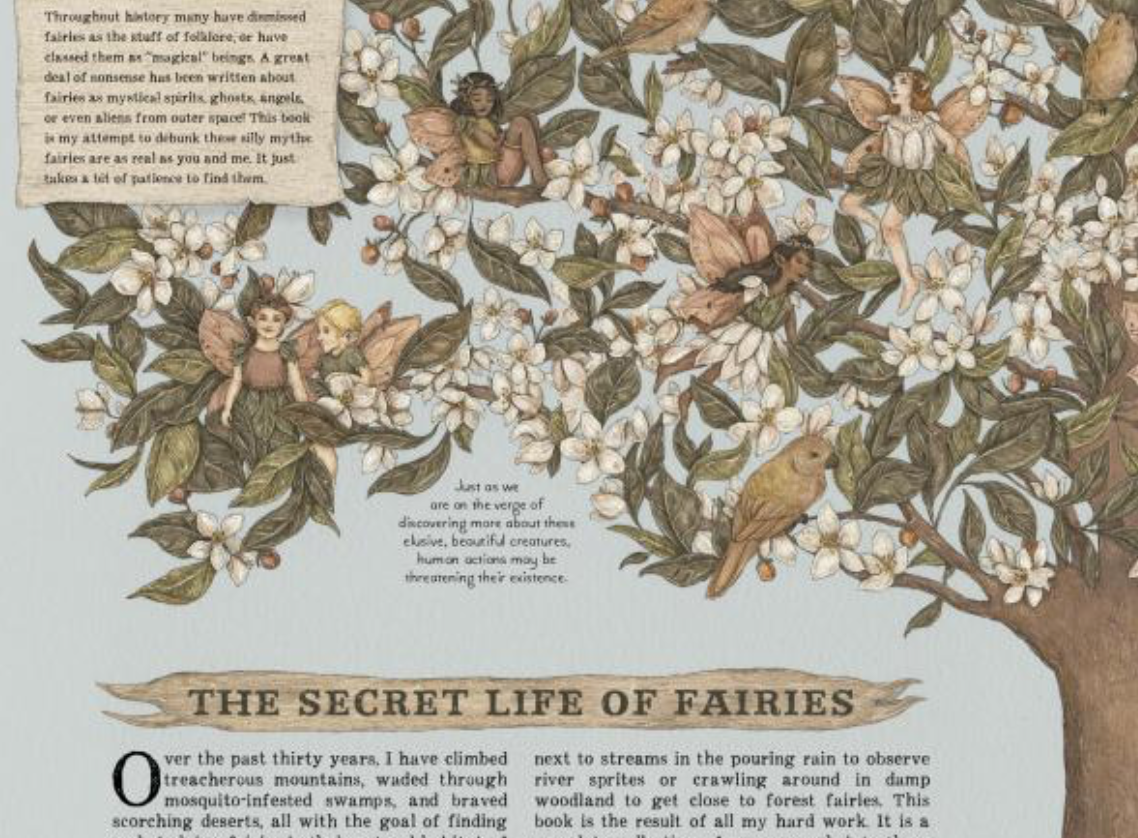 A Natural History of Fairies – Of Aspen Curated Gifts