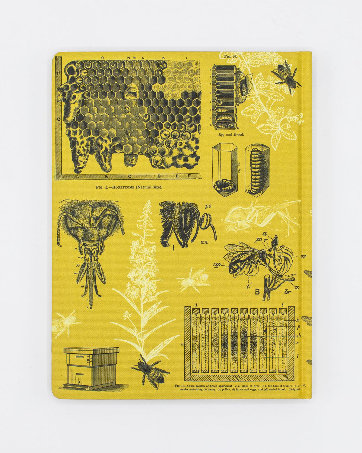 Honey Bee Journal – Of Aspen Curated Gifts