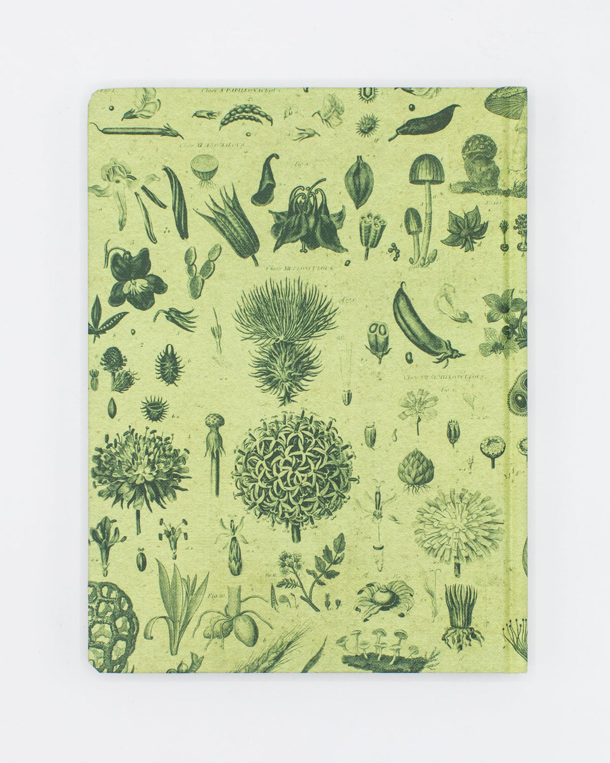 Fern Journal – Of Aspen Curated Gifts