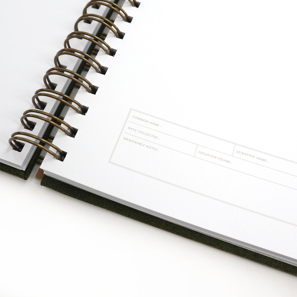 Herbarium Journal – Of Aspen Curated Gifts