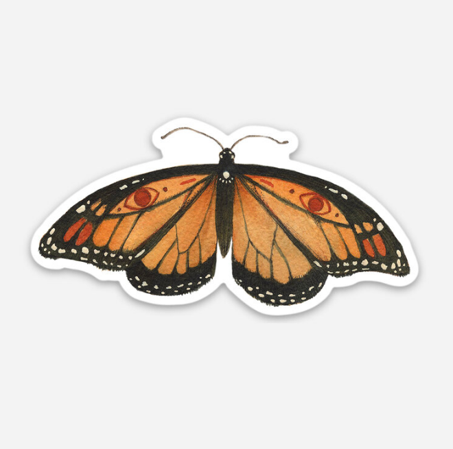 Monarch Butterfly Sticker – Of Aspen Curated Gifts