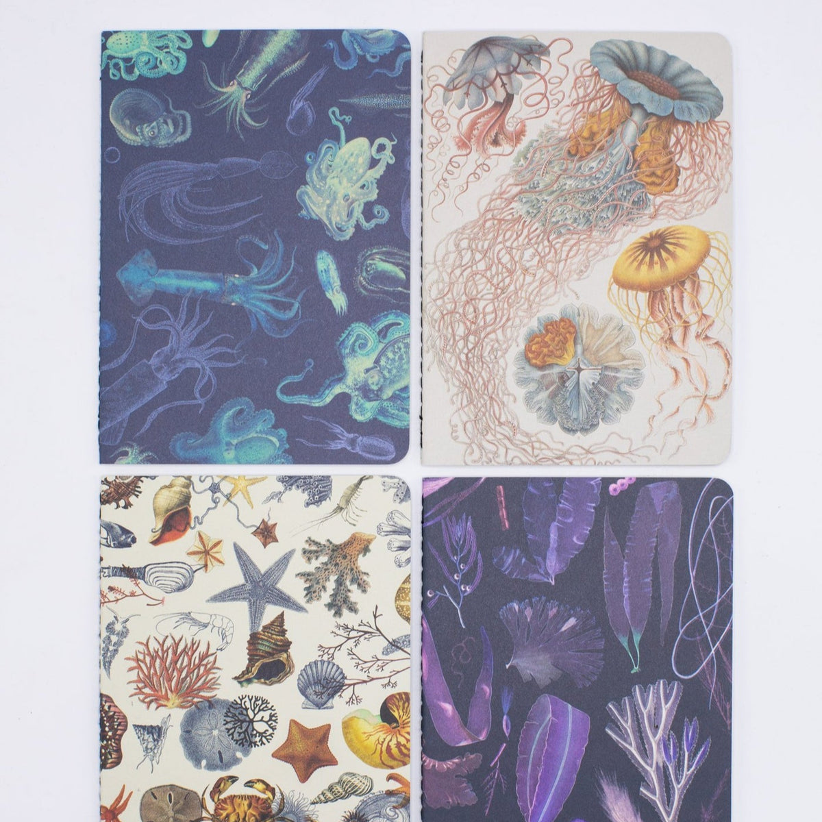 Vintage Sea Pocket Notebook Pack – Of Aspen Curated Gifts