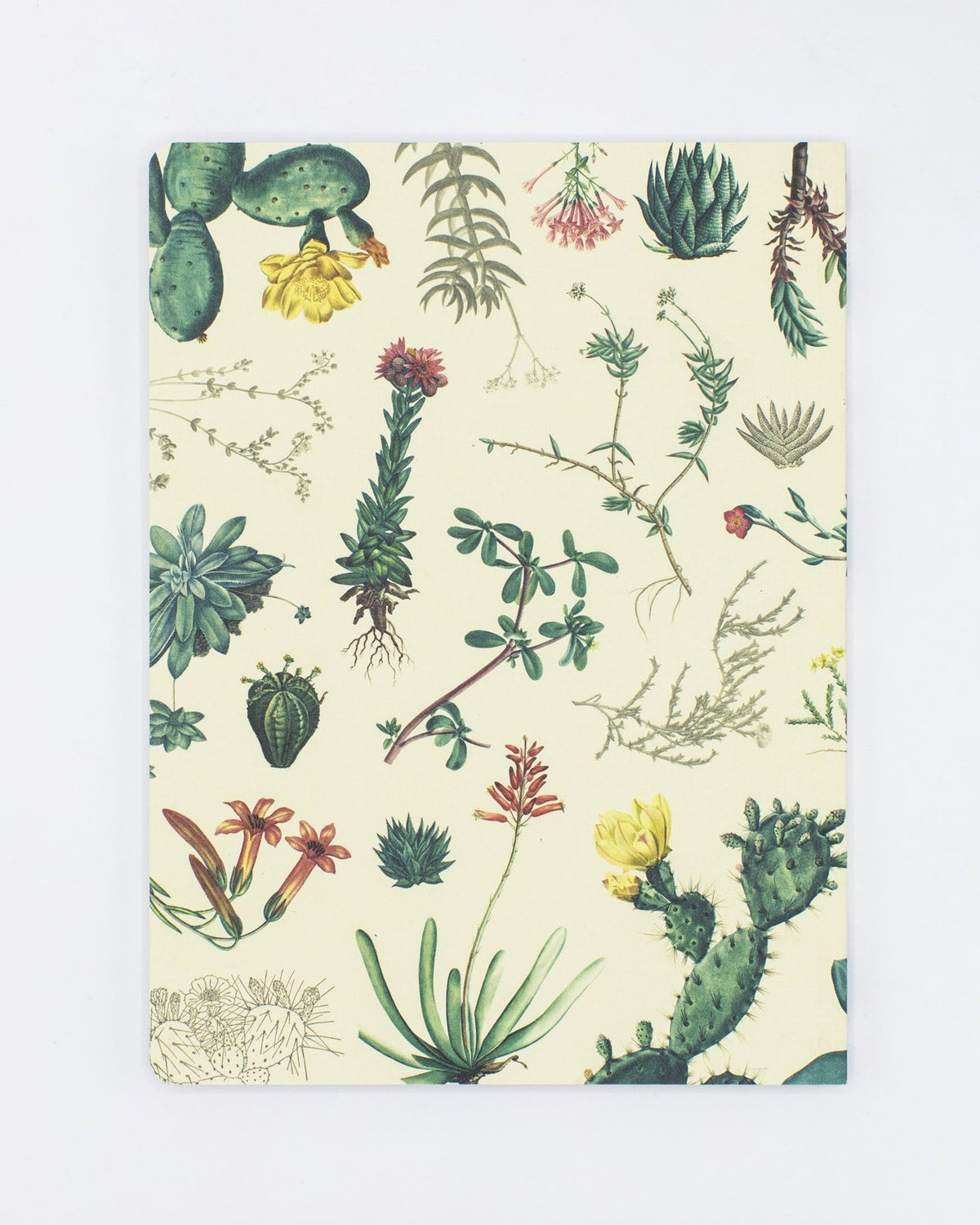 Succulent Notebook – Of Aspen Curated Gifts