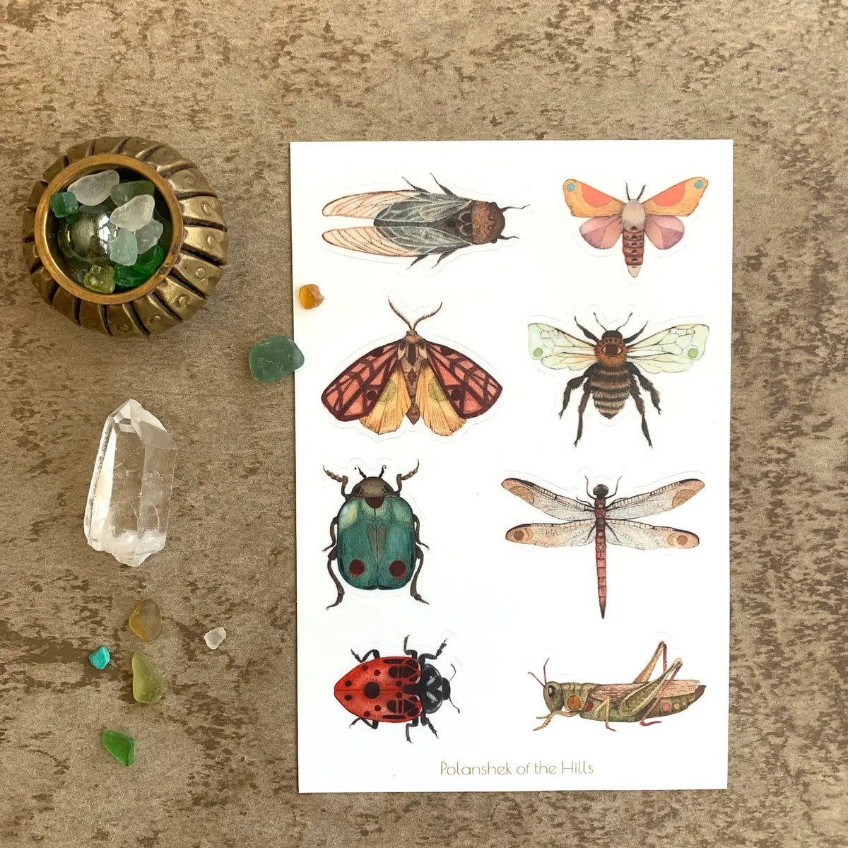 Bug Sticker Sheet – Of Aspen Curated Gifts